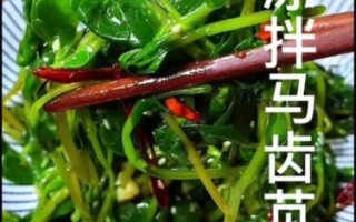 凉拌苋菜怎么做_苋菜焯水几分钟才脆绿