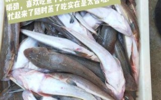 自制咸鱼怎么腌制_咸鱼腌制多久才入味