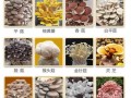 香菇种植技术视频_香菇菌棒怎么养