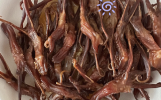 第一次吃鸭舌怎么吃_鸭舌怎么吃才好吃