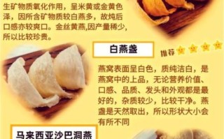 燕窝是什么燕子_金丝燕与白腹雨燕区别