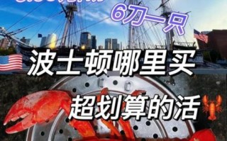 波士顿龙虾多少钱一斤_波士顿龙虾价格受哪些因素影响