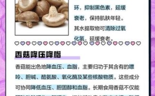 香菇有什么营养_香菇的功效与作用