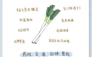 葱白煮水治感冒吗_哪些人不能吃葱白