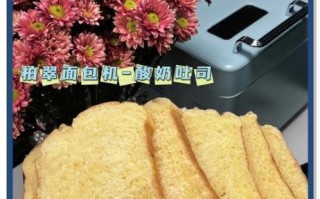 自动面包机怎么做酸奶_面包机做酸奶失败原因