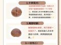 栗子怎么煮好扒皮_栗子煮多久容易剥皮