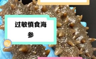 海参不能和什么一起吃_哪些人不能吃海参