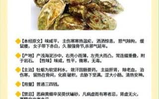 生蚝的功效与禁忌_什么人不能吃生蚝