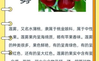 莲雾怎么吃_莲雾有什么药用价值