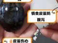 一天吃一个皮蛋对身体有害吗_皮蛋吃多了有什么坏处