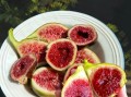 新鲜无花果一天吃几个_吃多了会怎样