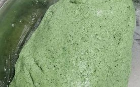 艾糍粑怎么做_艾草青团做法详解