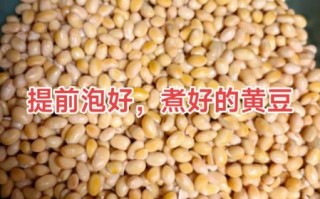 黄豆做酱豆的做法大全_黄豆酱豆怎么做好吃