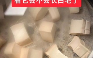 白豆腐乳怎么做_白豆腐乳发酵多久能吃