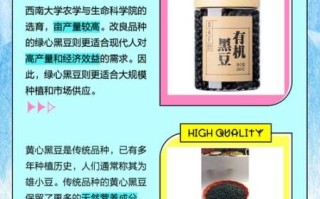 黑豆绿芯好还是黄芯好_营养价值与口感差异