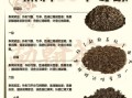 普洱茶属于什么茶叶_普洱是黑茶还是单独分类