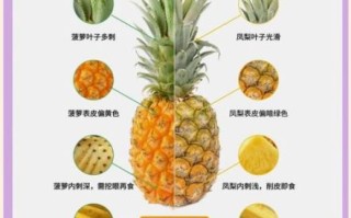 菠萝怎么吃最好吃_菠萝怎么挑选最甜