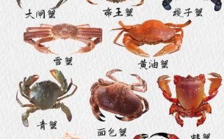 海蟹品种大全_哪种海蟹最好吃
