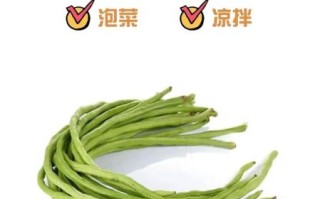 豇豆品种怎么选_高产豇豆哪个品种好