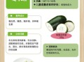 冬瓜的作用与功效_冬瓜怎么吃减肥