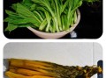 芥菜怎么腌制咸菜_芥菜咸菜的做法步骤