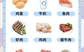 高蛋白高营养的食物有哪些_如何科学搭配