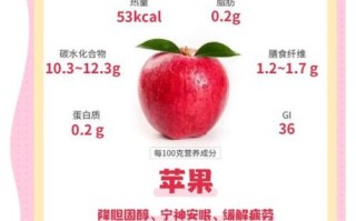 苹果的营养价值有哪些_吃苹果有什么好处 苹果的营养价值有哪些_吃苹果有什么好处