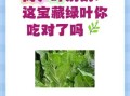 莴笋叶一定要焯水吗_不焯水能吃吗