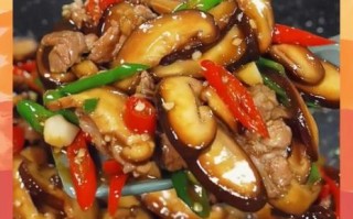 香菇炒肉怎么炒好吃_川菜香菇炒肉做法