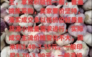 今天大蒜多少钱一斤_2024年6月大蒜价格走势