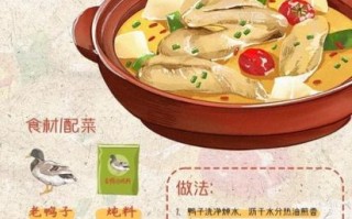 酸萝卜老鸭汤怎么炖不腥_酸萝卜老鸭汤用什么萝卜最好