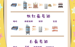 如何在家酿葡萄酒_酿葡萄酒需要哪些材料