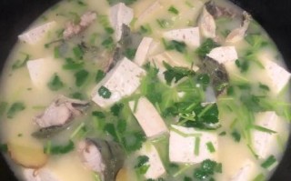 鲶鱼汤的功效与作用_鲶鱼汤适合什么人喝