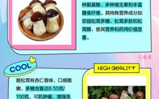 姬松茸和松茸的区别_如何一眼分辨真假松茸