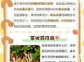 茶树菇的功效与禁忌_什么人不能吃茶树菇