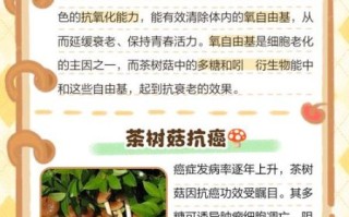 茶树菇的功效与禁忌_什么人不能吃茶树菇