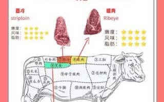 菲力牛排是牛的哪个部位_菲力牛排为什么嫩
