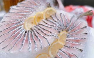 生鱼片用什么鱼_哪些鱼适合做刺身