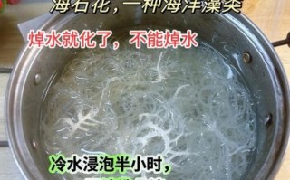 海石花和石花菜的区别_哪个更好吃