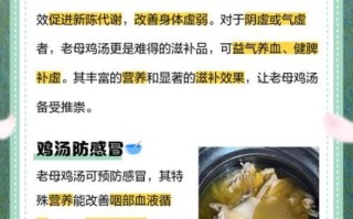 老母鸡汤的功效_适合哪些人喝
