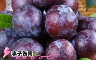 李子吃多了会怎么样_李子吃多了会拉肚子吗