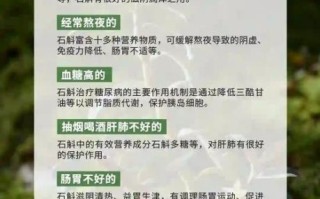 石斛治什么病最有效_石斛适合哪些人群