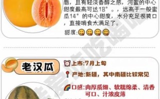 甜瓜图片大全大图_甜瓜品种怎么区分