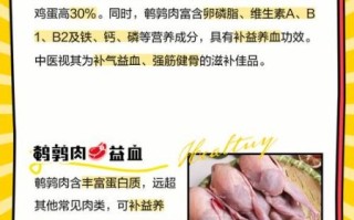 鹌鹑的功效与作用_吃鹌鹑有哪些好处