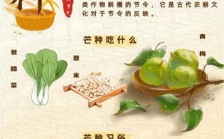 芒种图片唯美_芒种节气有什么习俗