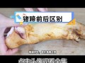 蹄膀是哪个部位_猪前腿还是后腿