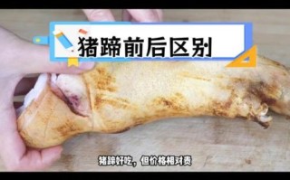 蹄膀是哪个部位_猪前腿还是后腿