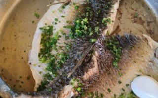 鲩鱼怎么做好吃_鲩鱼的营养价值有哪些