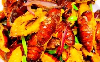 蝉蛹怎么做好吃_蝉蛹的做法大全