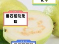 番石榴哪些人不能吃_番石榴禁忌人群